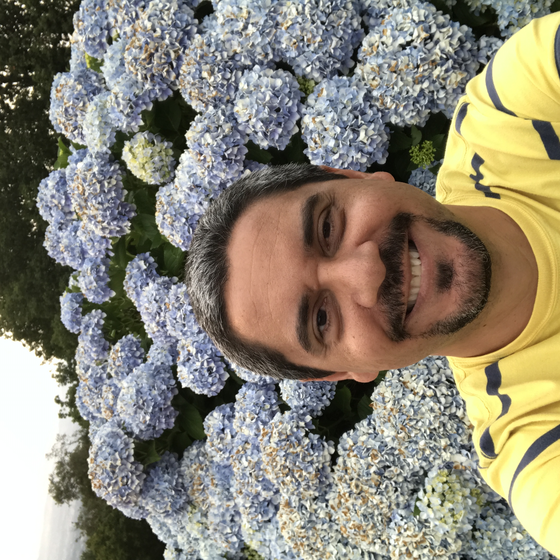 Jose Cavalcanti Campos Junior - Cirurgião geral | Médicos Brasil